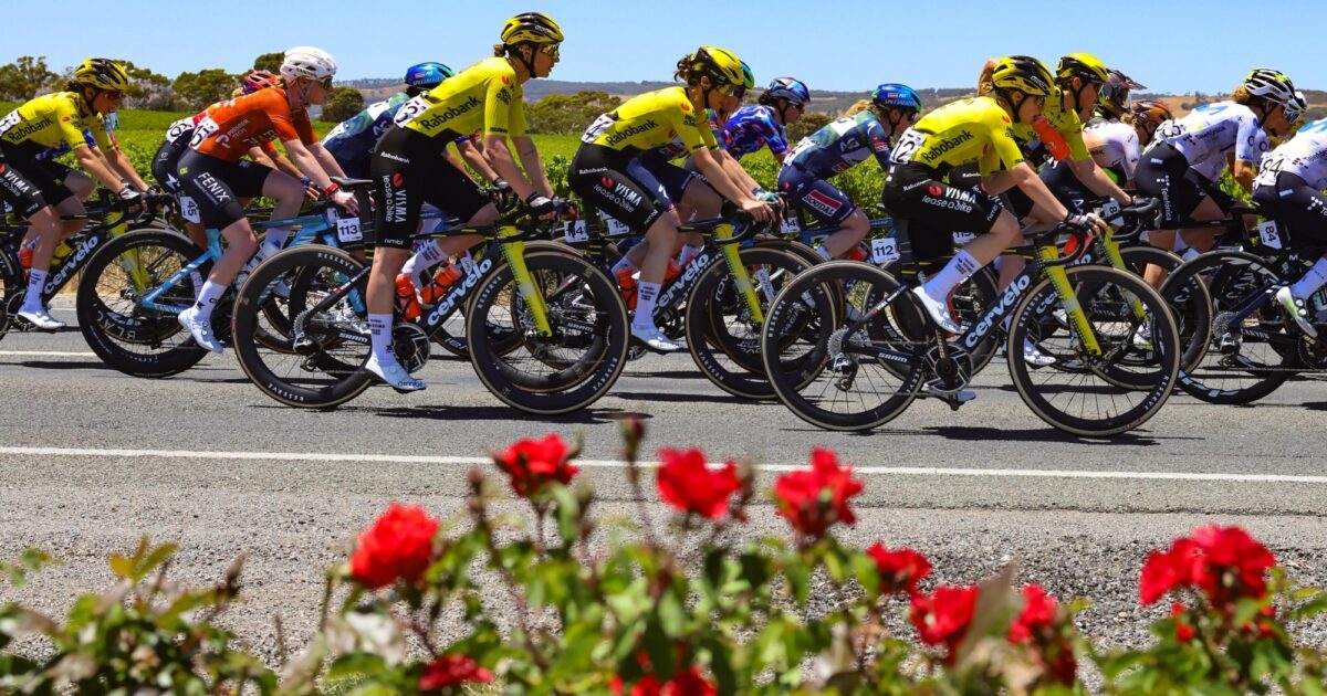 Team Visma | Lease a Bike | Van Dam impresses on debut with fifth…